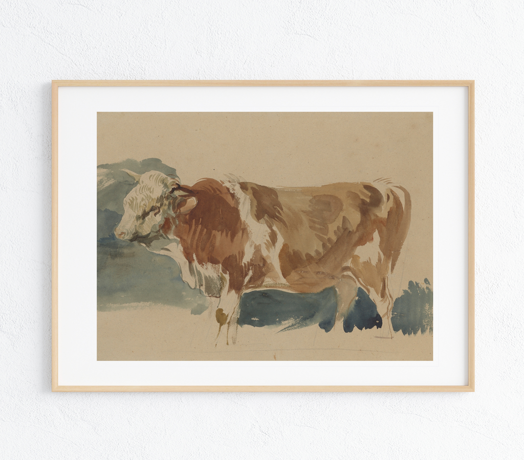 Study of a Spotted Ox Art Print – The Black Brick Co, LLC