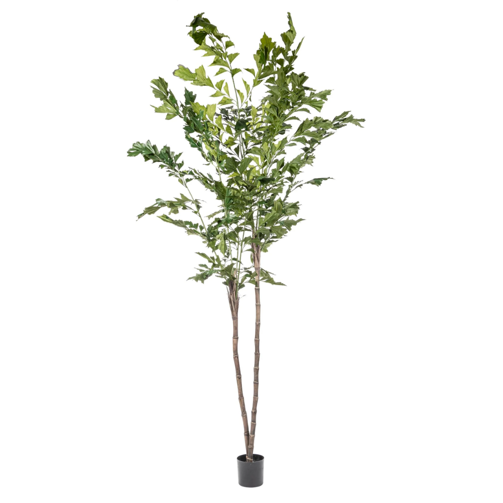 9’ Fishtail Palm Tree – The Black Brick Co, LLC